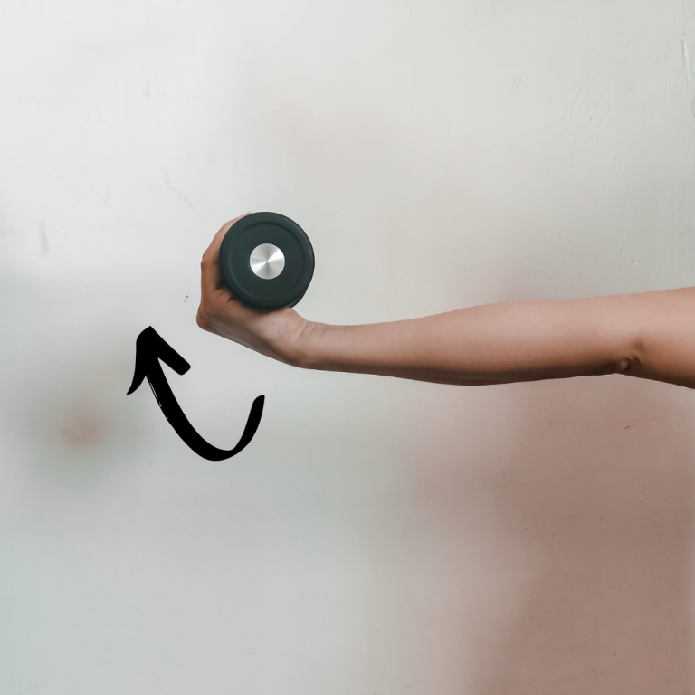 Renforcer ses poignets | Raisons et Exercices